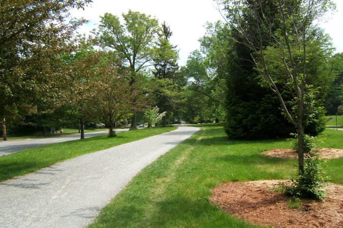 Blackstone Boulevard - Blackstone Parks Conservancy